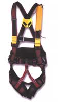 Harnais de sécurité / BORNACK FRANCE - Maintenance and Co